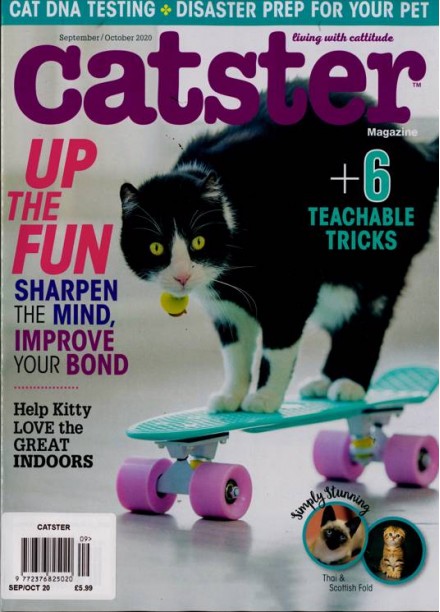 Subscribe or Renew Modern Cat Magazine Subscription. Save 16%