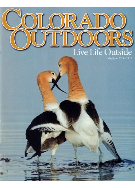 Subscribe or Renew Louisiana Sportsman Magazine Subscription.