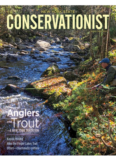 Subscribe or Renew Midwest Living Magazine Subscription. Save 33%