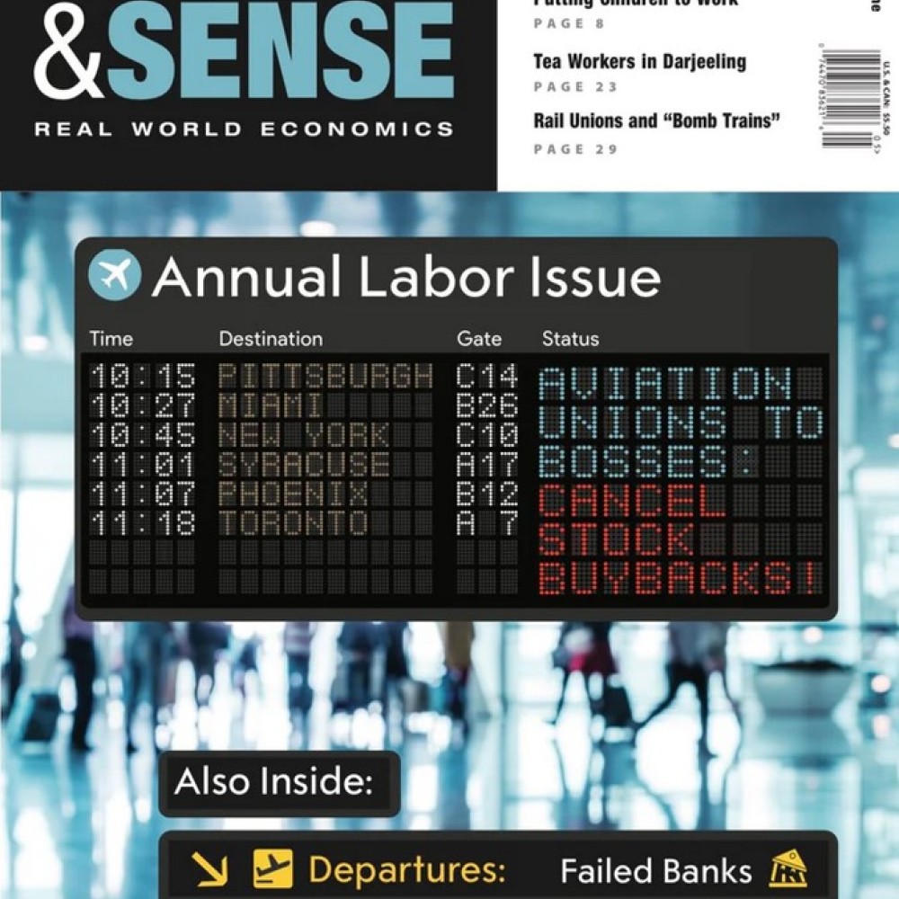Subscribe or Renew Dollars & Sense Magazine Subscription.