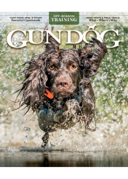 Subscribe or Renew Gun Dog Magazine Subscription.