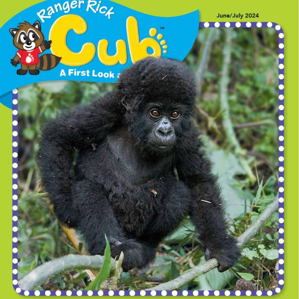 Subscribe or Renew Ranger Rick Cub Magazine Subscription.