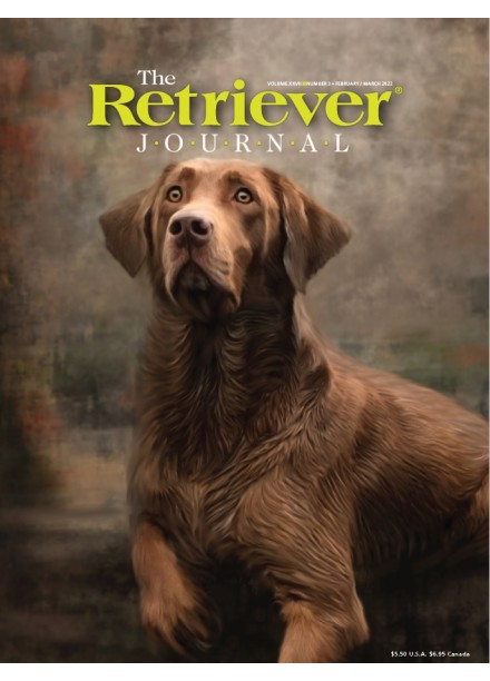 Subscribe or Renew Gun Dog Magazine Subscription.
