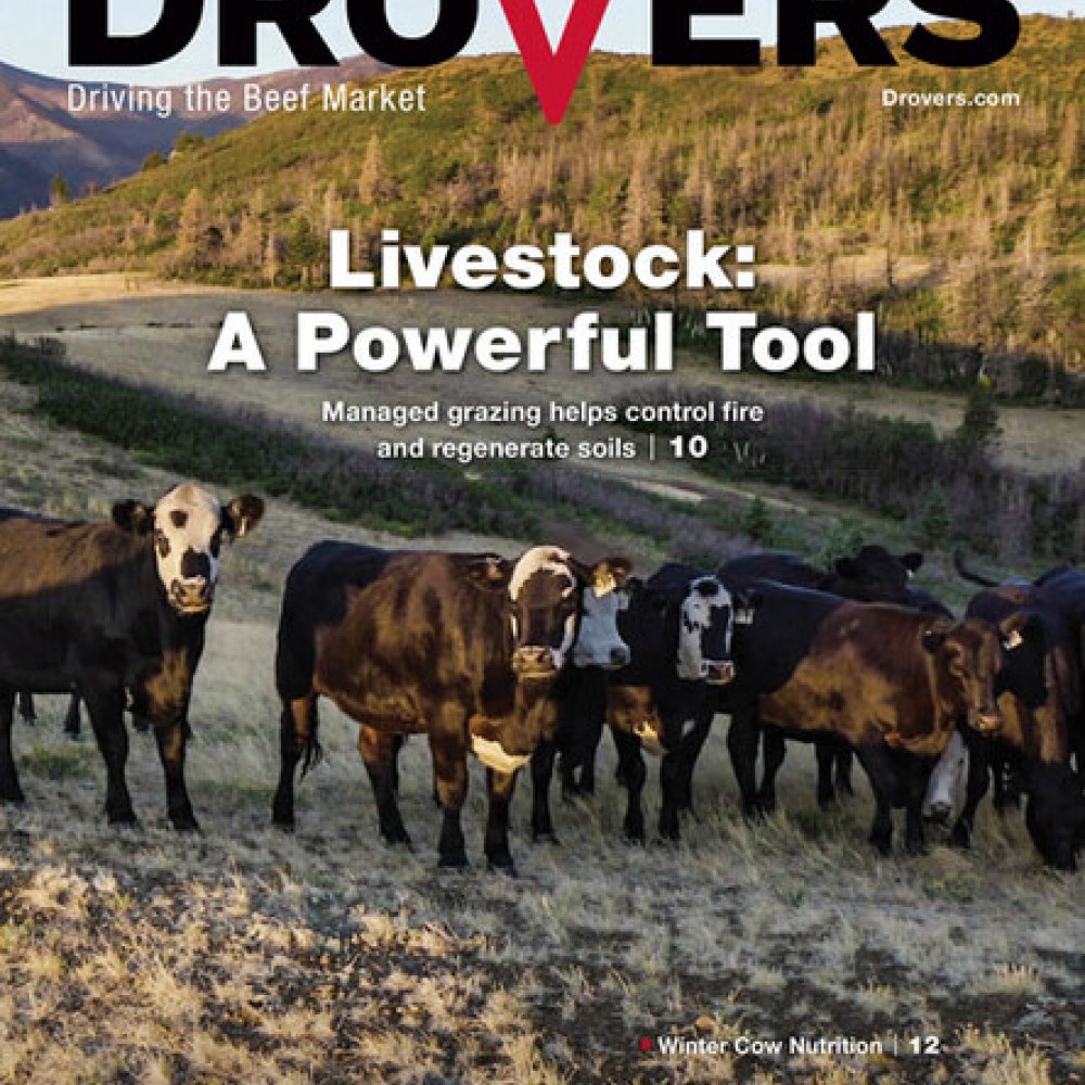 Subscribe or Renew Drovers Cattle Network Magazine Subscription. Save ...