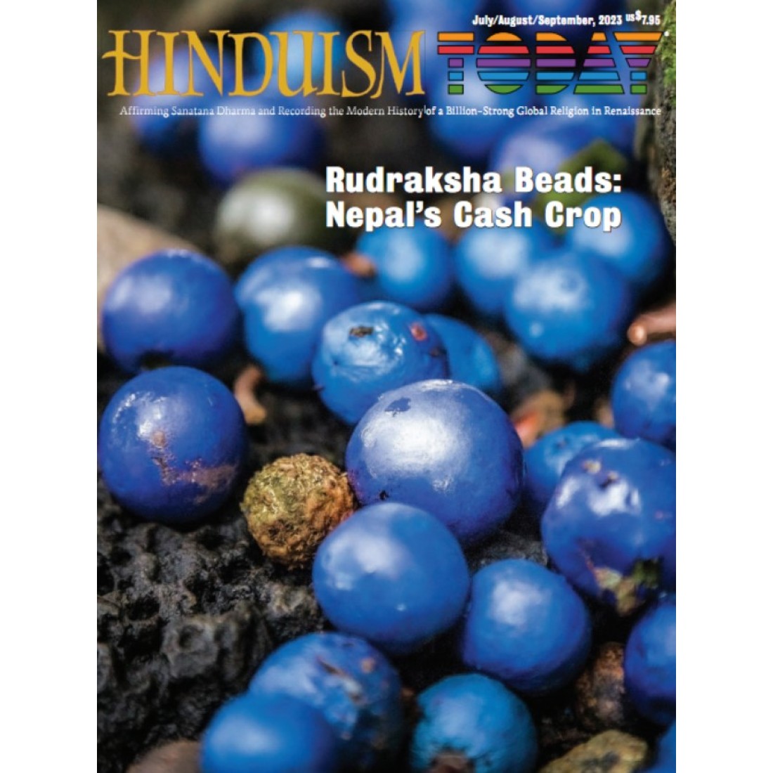 Subscribe or Renew Hinduism Today Magazine Subscription.