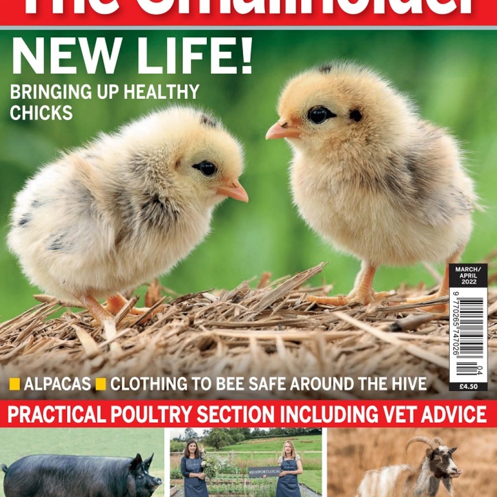 Subscribe or Renew The Smallholder (UK) Magazine Subscription.